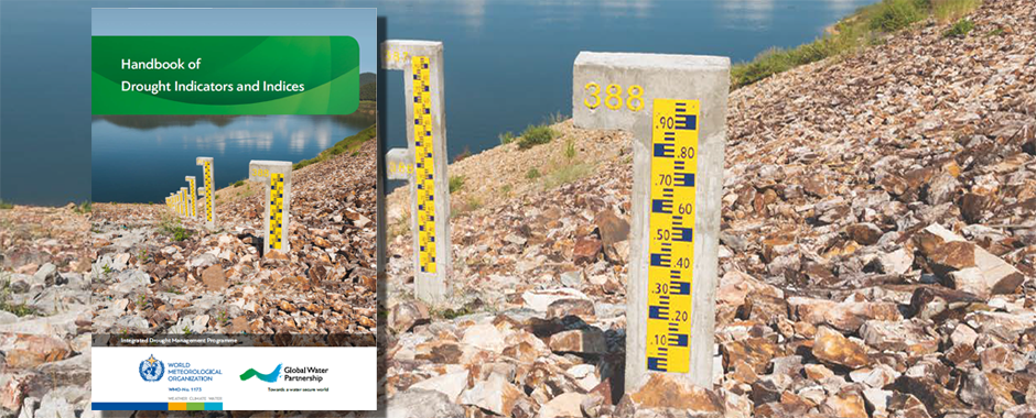 Integrated Drought Management Programme Integrated Drought Management Programme