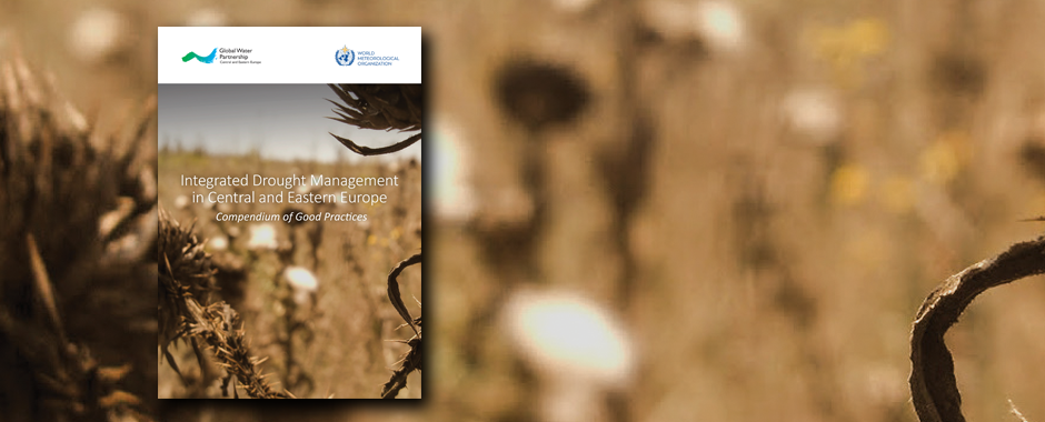 Integrated Drought Management Programme