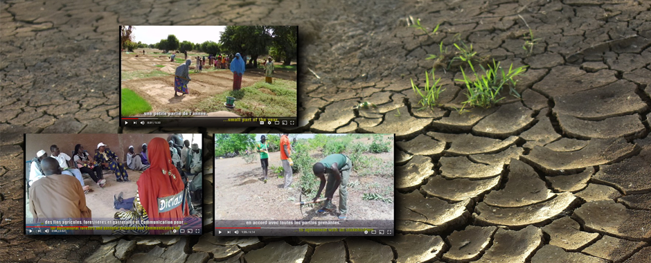 Integrated Drought Management Programme